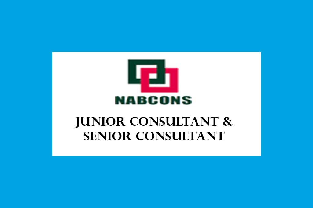 NABCONS Junior Consultant and Senior Consultant Recruitment 2020 – 78 ...